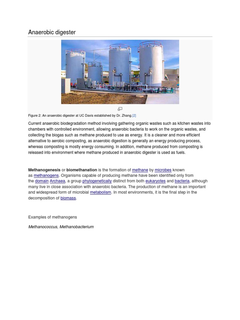 Anaerobic Digester: Methane Microbes Methanogens Domain Archaea ...