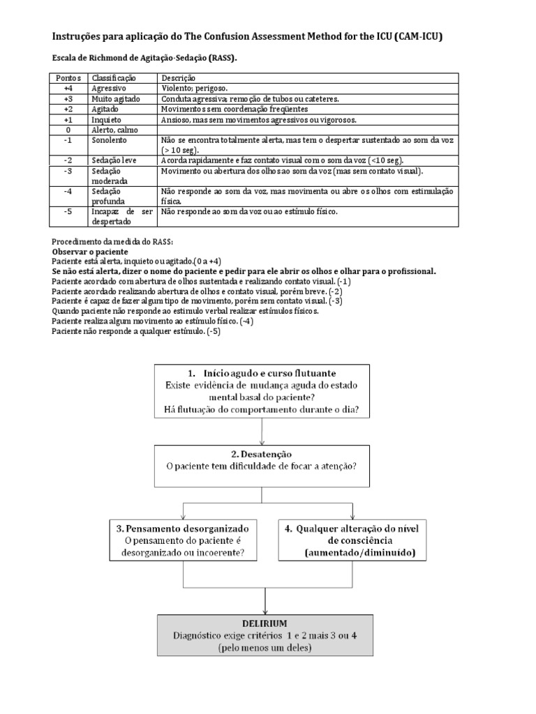 Instruções para CAM-ICU e RASS | PDF | Natureza