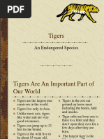 Tiger Life Cycle Explained for Kids | PDF