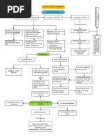 POPS Plan - 08032022 | PDF | Governance | Monitoring And Evaluation