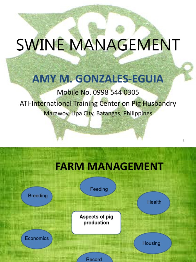 Swine Management - Eg's | PDF | Domestic Pig | Weaning