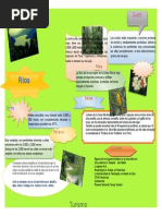 Selva Alta, Sus Características, Flora y Fauna | PDF | Deforestación ...