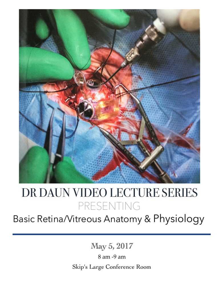Basic Retina Anatomy | PDF