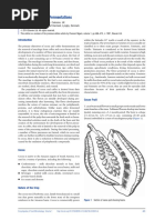 Cocoa Flow Chart | PDF | Cocoa Bean | Chocolate