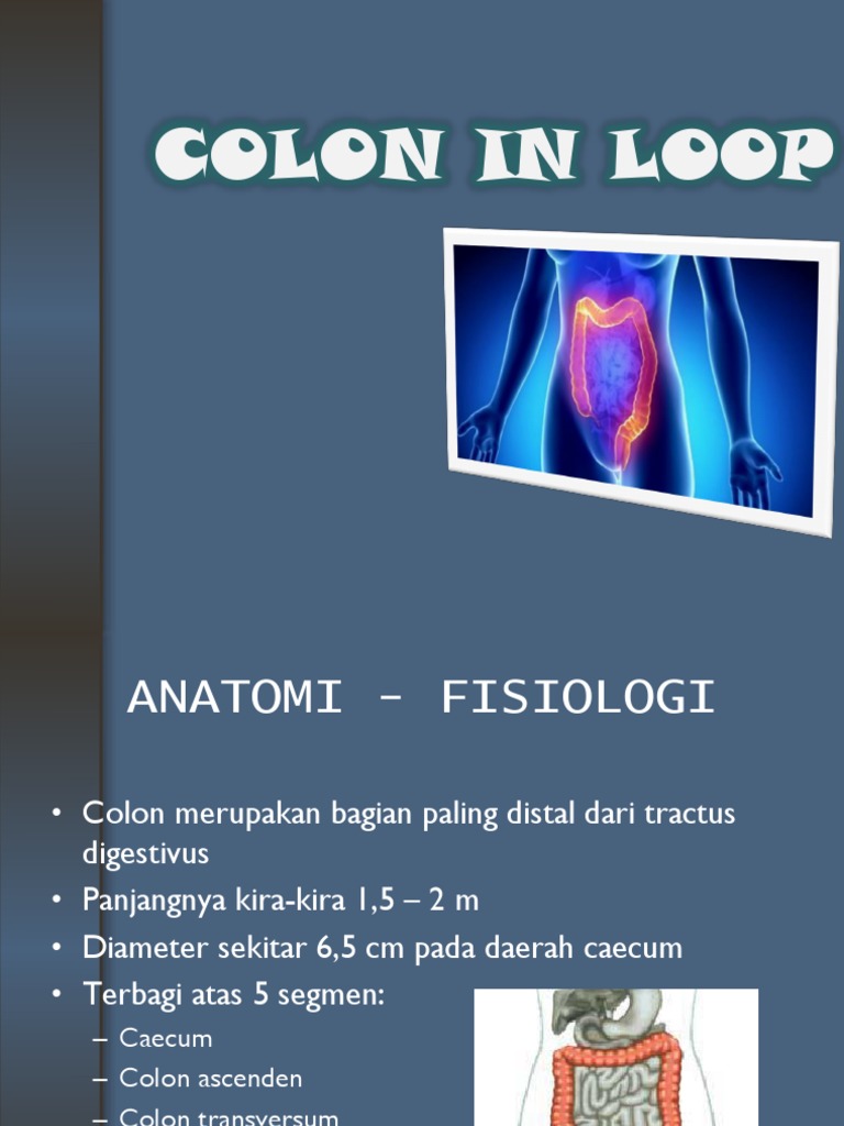 Colon in Loop | PDF