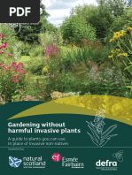 Bird Butterfly Garden Plan | PDF | Mulch | Trees