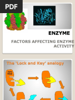 Pogil - 6 Enzymes and Cellular Regulation | PDF | Enzyme | Polymerase ...