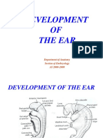The Ice Chip Protocol A Description of The Protocol and Case Reports ...