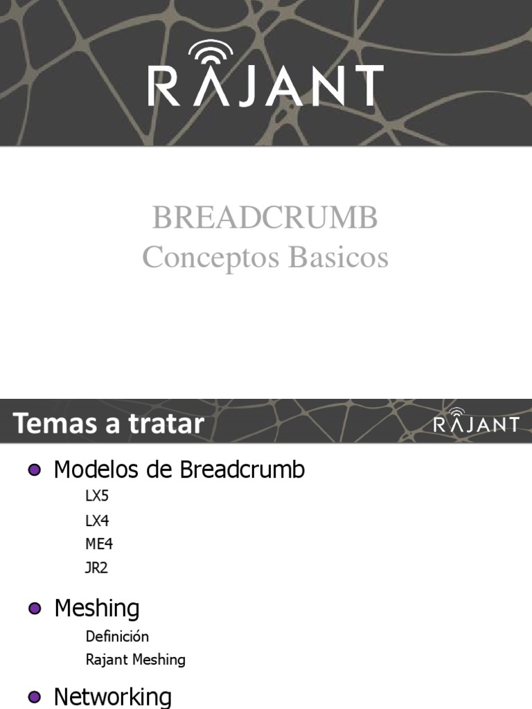 BC Basics (Español) | PDF | Punto de acceso inalámbrico | Wifi
