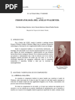 Adenoamigdalitis Aguda y Crónica | PDF | Lengua | Estreptococo