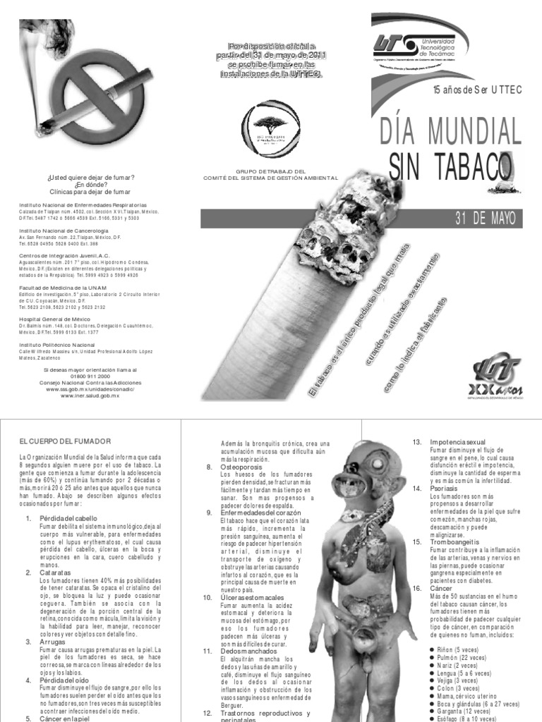 Tríptico Día Mundial Sin Tabaco, May 2011 | PDF | Fumar tabaco | Adicción
