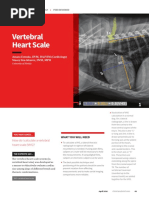 Veterinary ASA Classification Guide | PDF | Heart | Shock (Circulatory)