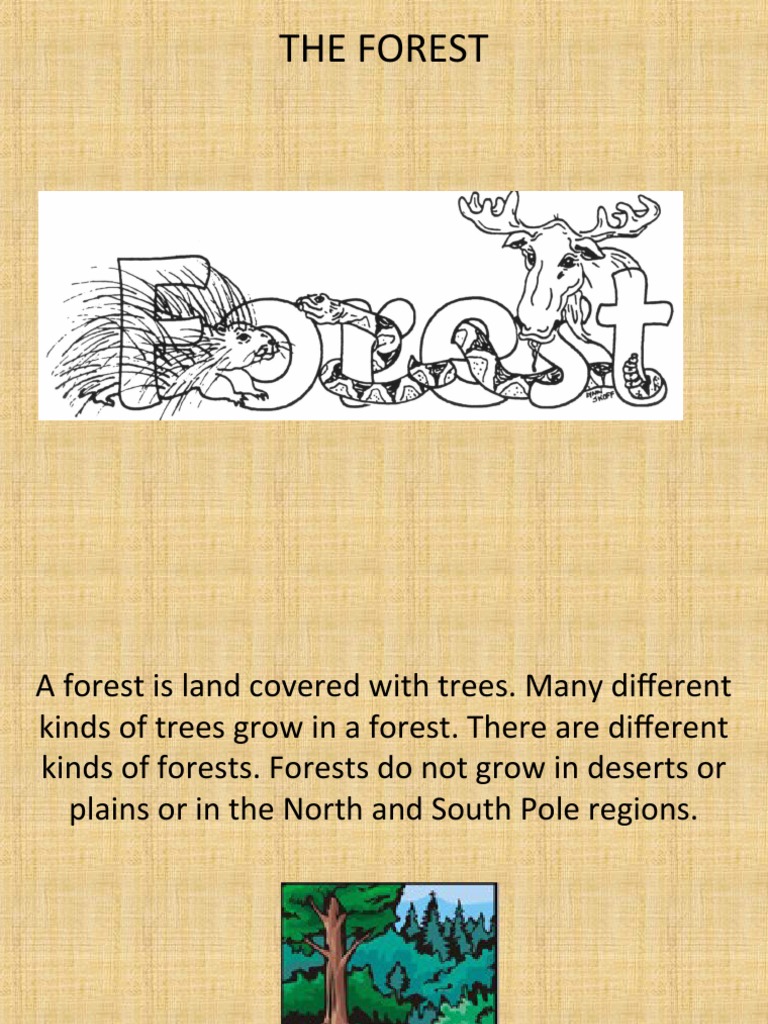 Forest | PDF | Forests | Deforestation