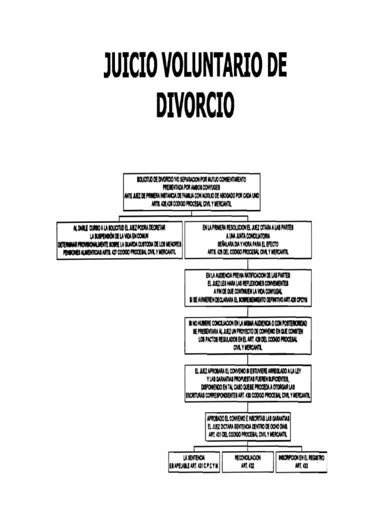 Esquema Divorcio | PDF