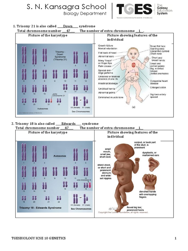 Genetic Disorders | PDF