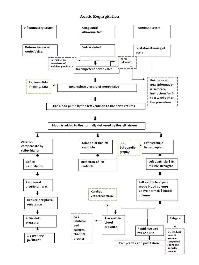 Aortic Regurgitation pathophysiology