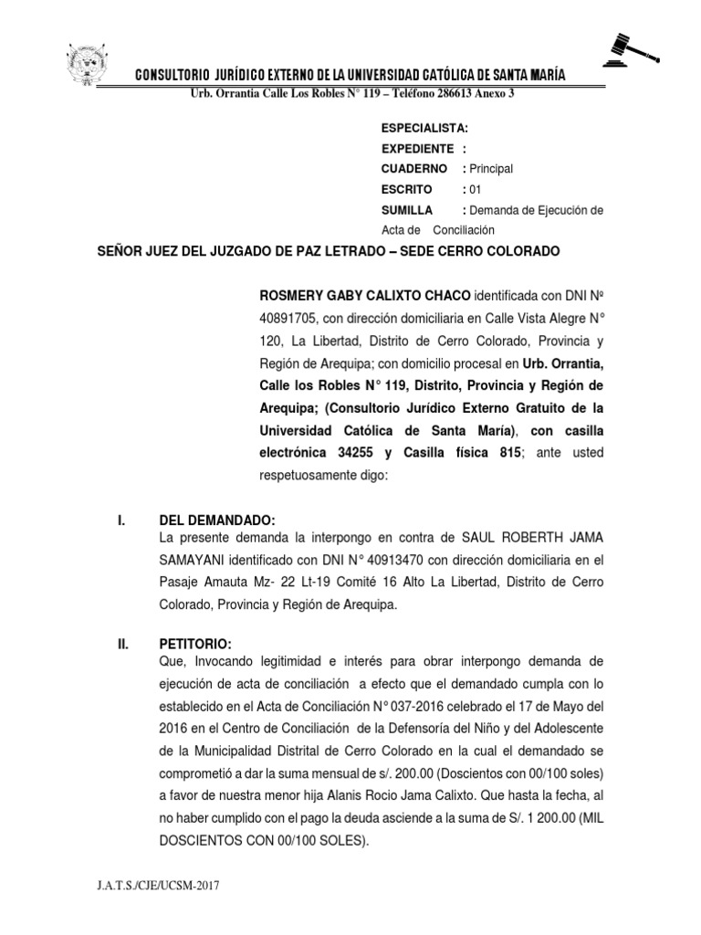 Demanda De Ejecucion De Acta De Conciliacion 22 Casilla Electronica Porn Sex Picture 