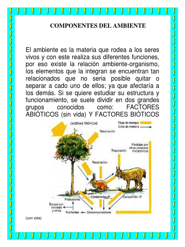 Componentes Del Ambiente | PDF