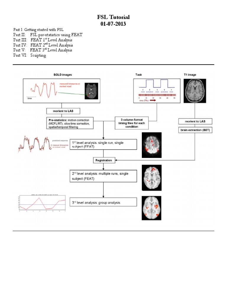 An Introduction to Preprocessing fMRI Data and Performing General ...
