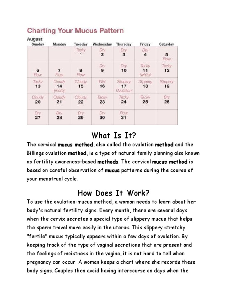 Cervical Mucus Method Explained | PDF