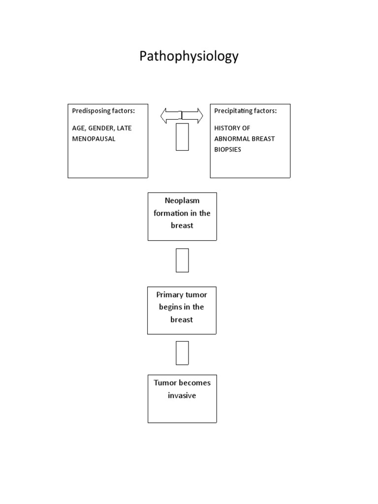 Breast Cancer Pathophysiology Schematic Diagram A Schematic