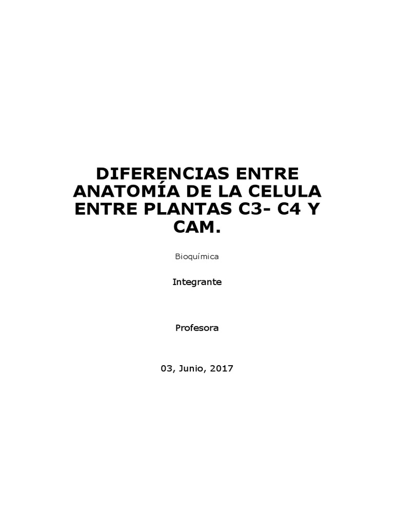 Anatomía de La Celula Entre Plantas C3 - C4 y CAM PDF | PDF ...