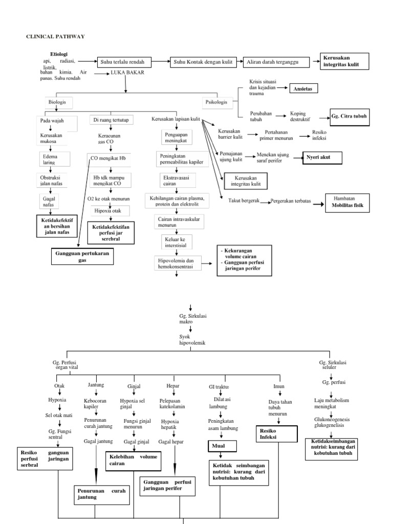 Combustio Pathway Dafi | PDF
