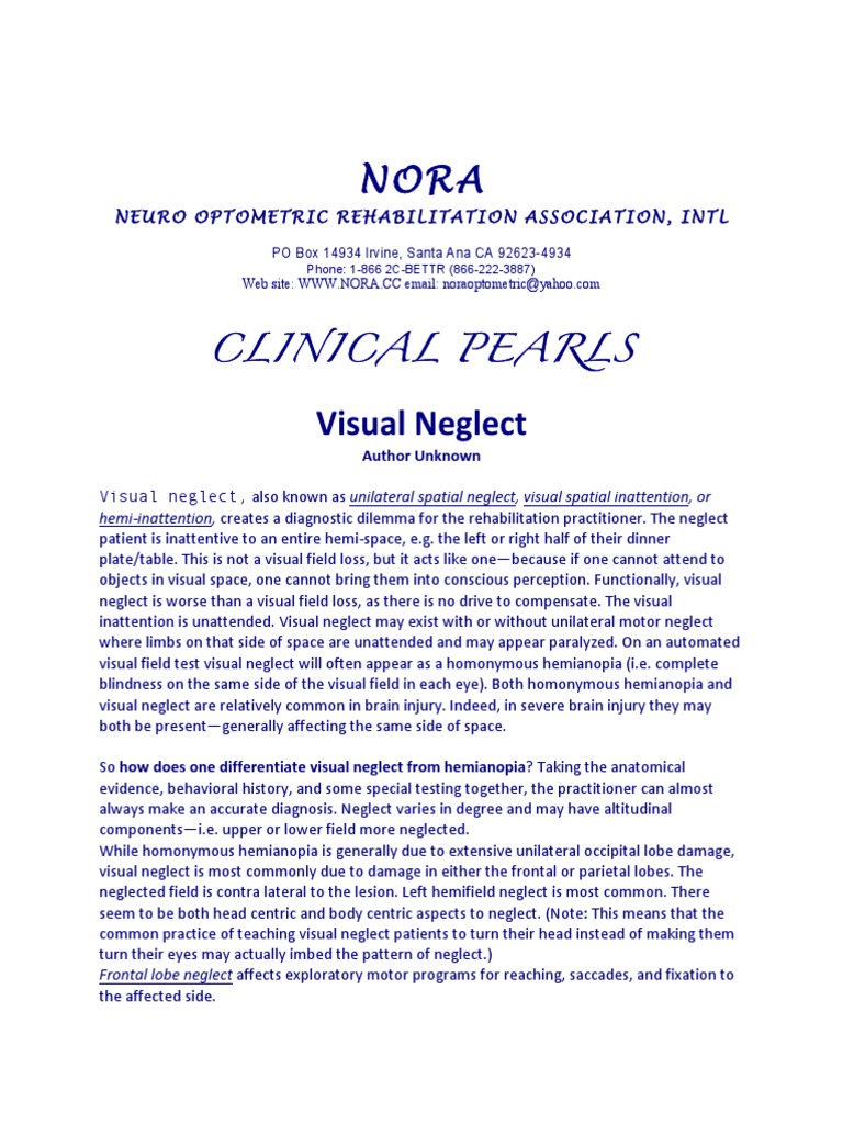 Visual Neglect | PDF | Parietal Lobe | Neuropsychological Assessment