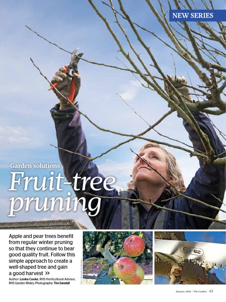 RHS Fruit Tree Pruning | PDF | Pruning | Trees