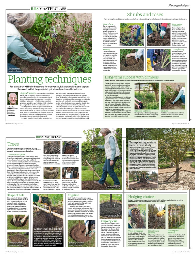 Effective Planting Techniques for Shrubs | PDF | Trees | Root