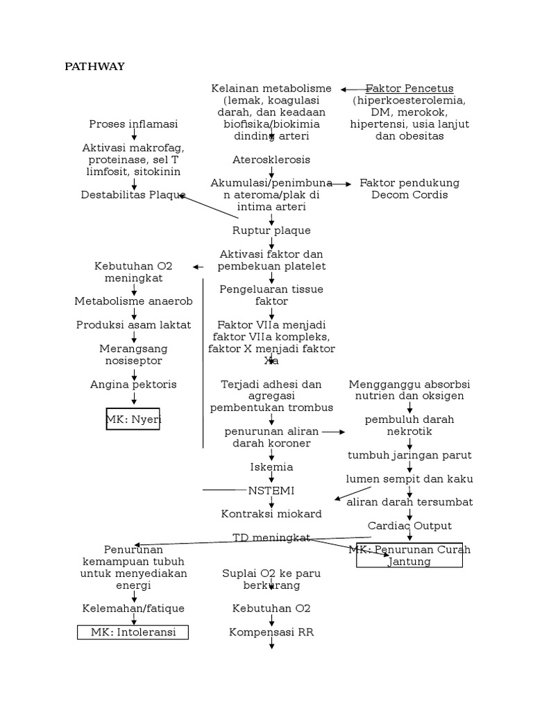 Pathway Nstemi | PDF