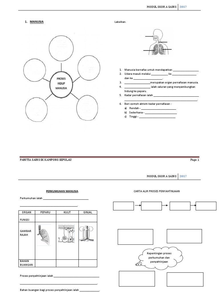 Latihan Sains Tahun 4 | PDF