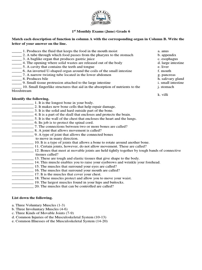 June Grade 6 Science Test | PDF | Stomach | Small Intestine