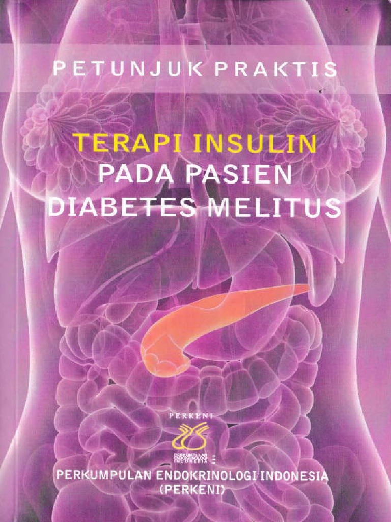 PERKENI Terapi Insulin DM | PDF