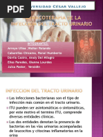 Prosp Fosfolea | PDF | Infección del tracto urinario | Bacterias Gram ...