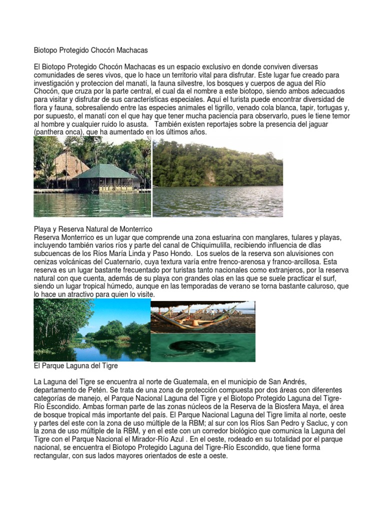 Biotopo Protegido Chocón Machacas | PDF | Jaguar | Conservación