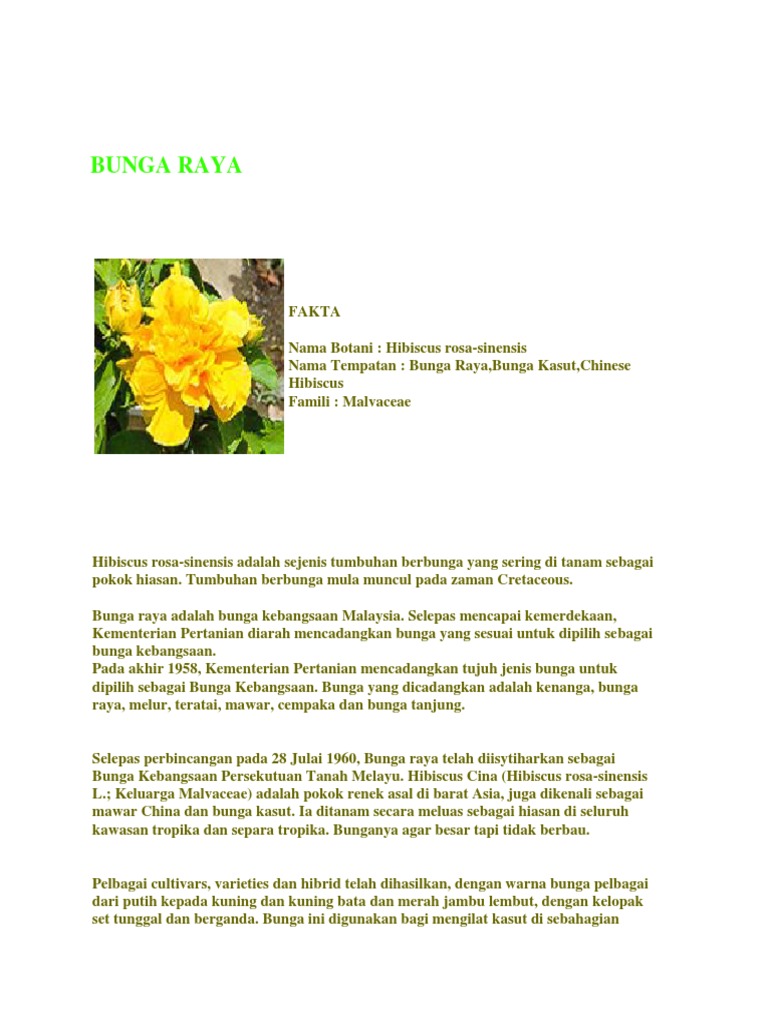 Bunga Raya | PDF