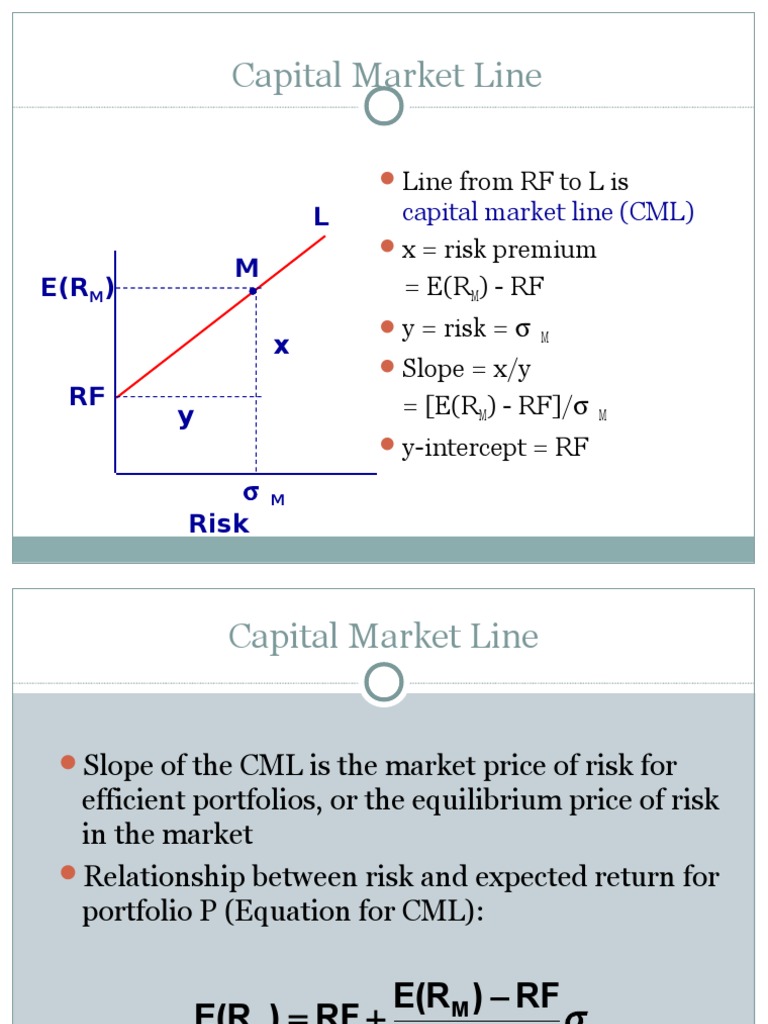 Capital Market Line (Rohit) | Capital Asset Pricing Model | Beta (Finance)