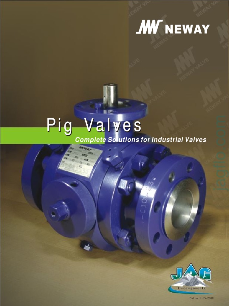 Pig Valve | PDF | Valve | Pipe (Fluid Conveyance)