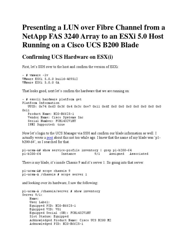 Presenting A LUN Over Fibre Channel From A NetApp FAS 3240 Array To An ...