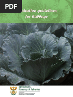 Covo Rugare Gold PLUS | PDF | Fertilizer | Seed