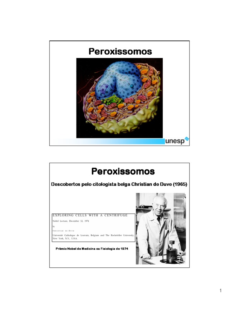 Aula 8 Peroxissomos | PDF | Mitocôndria | Processos celulares