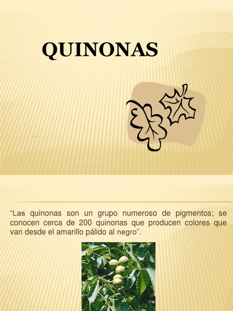 Quinonas Exposición | PDF | Enzima | Inhibidor de la enzima