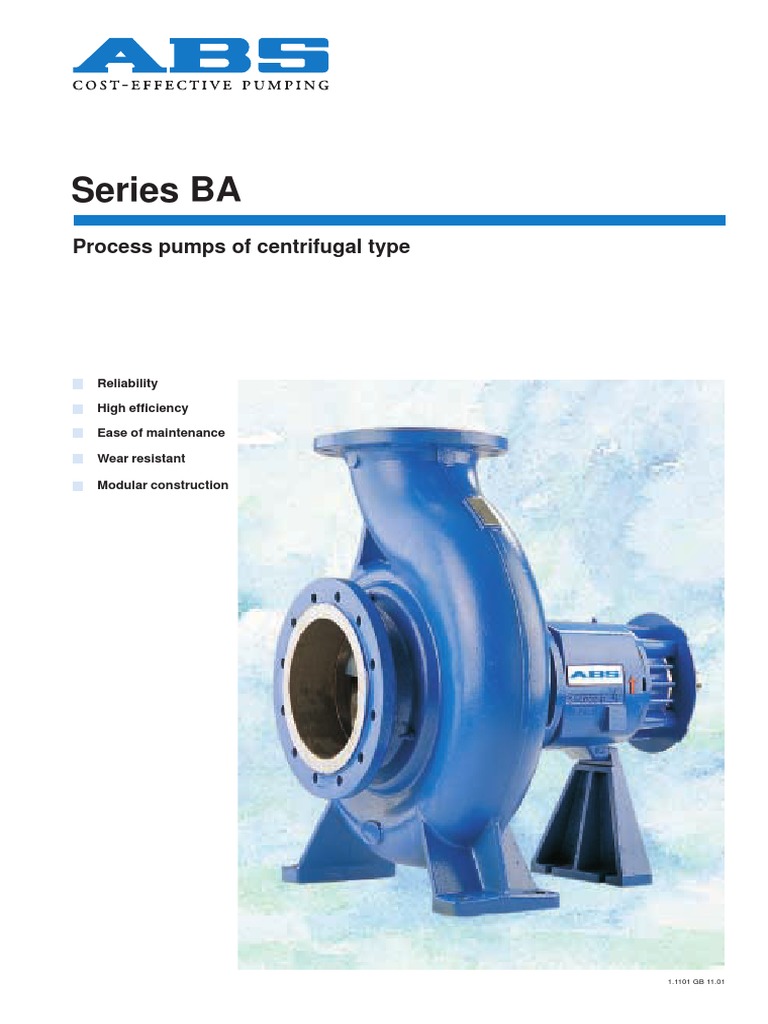 Reliable Process Pumps: An Overview of the Durable and Efficient BA ...