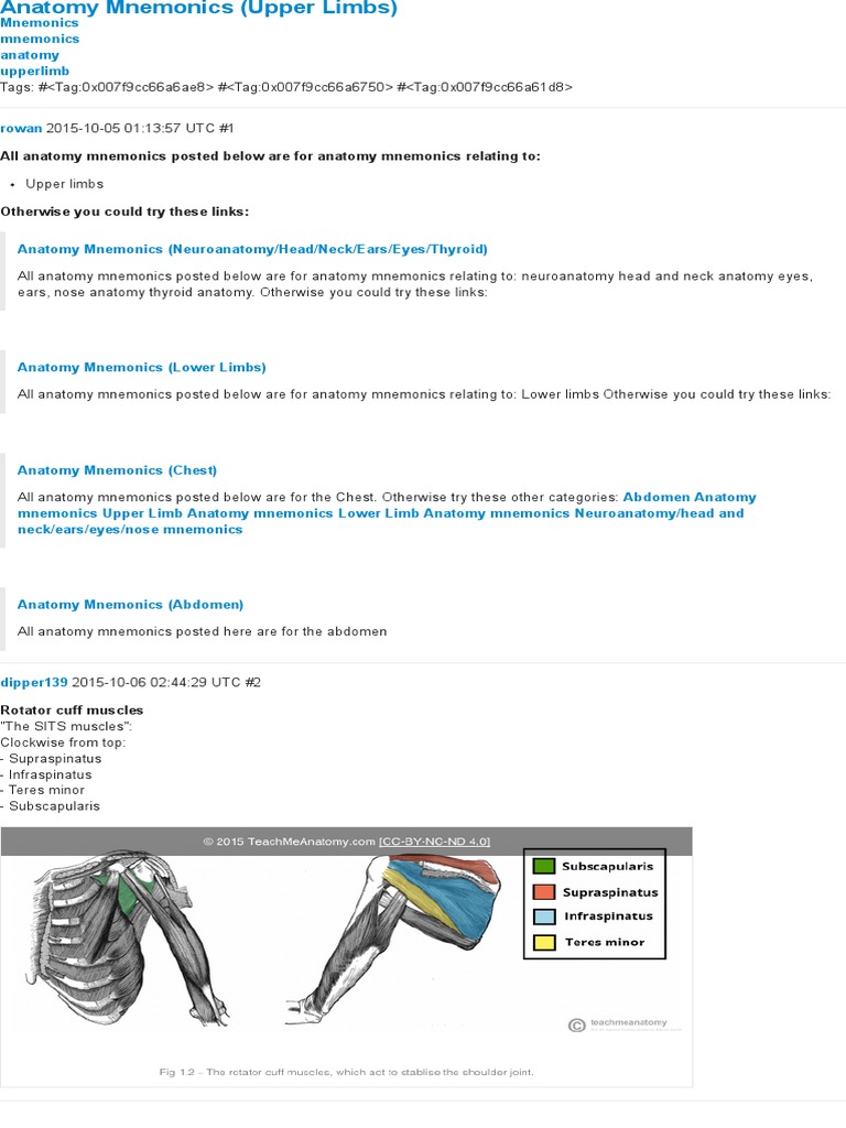 Anatomy Mnemonics (Upper Limbs) - Mnemonics - Mosaiced | PDF | Anatomy ...