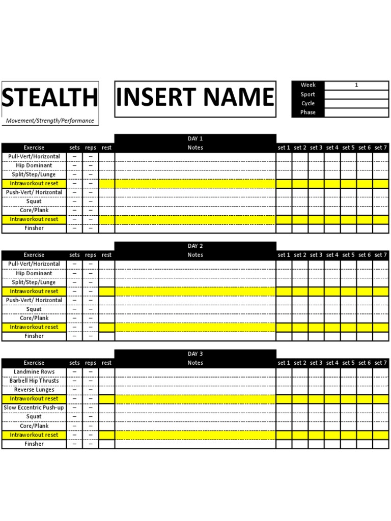 Stealth Program Workout Template | PDF