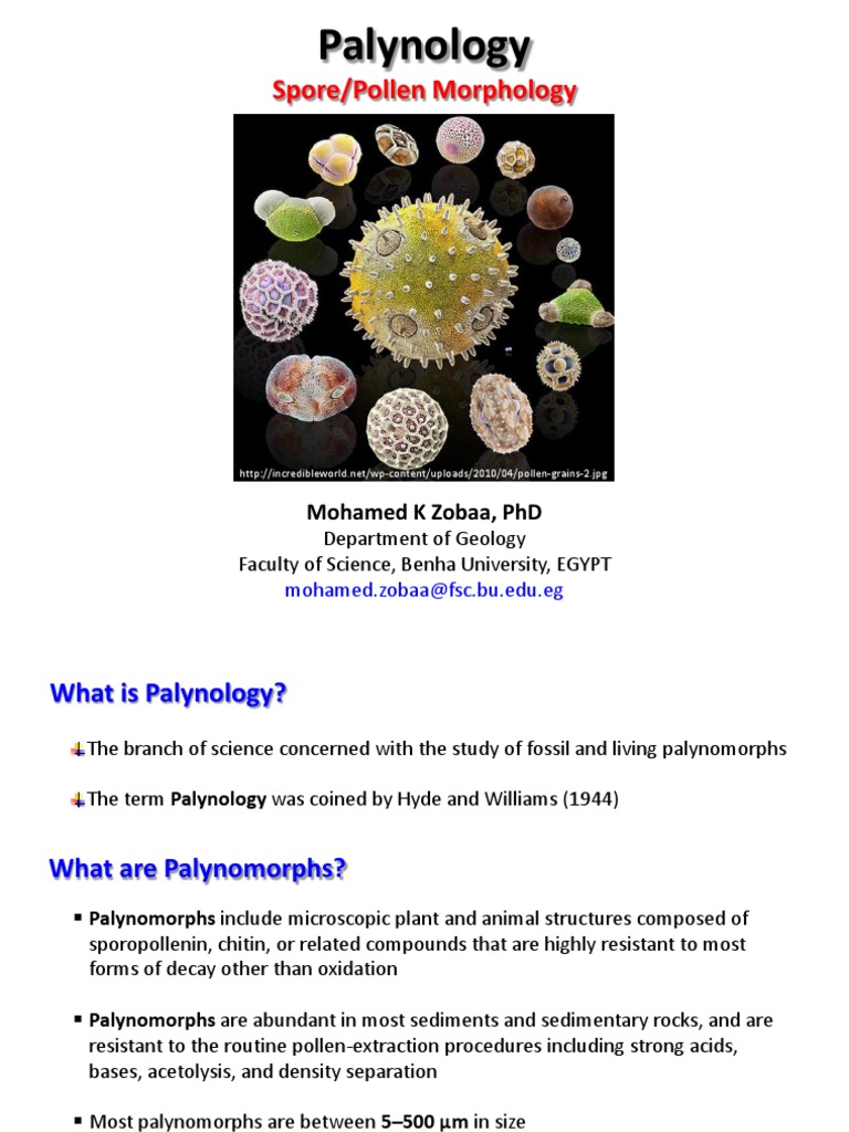 Mohamed K Zobaa - Palynology (Spore-Pollen Morphology) | Download Free ...