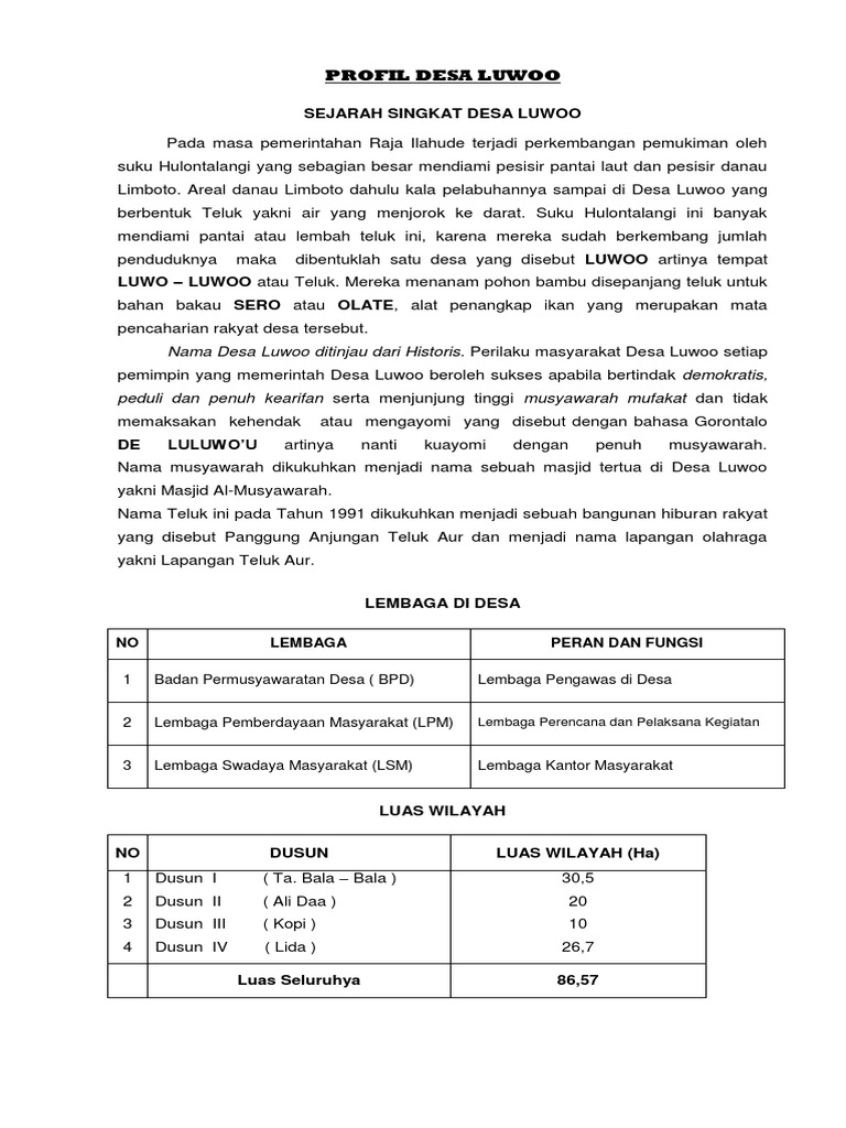 Profil Desa Luwoo | PDF