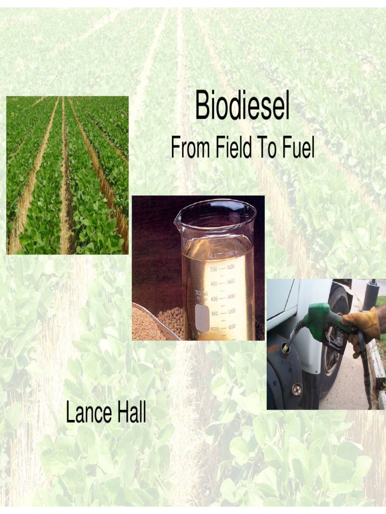 Biodiesel Production Guide and Safety | PDF | Diesel Fuel | Biodiesel