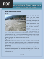 SST Disaster Management Project | PDF | Flood | Natural Disasters